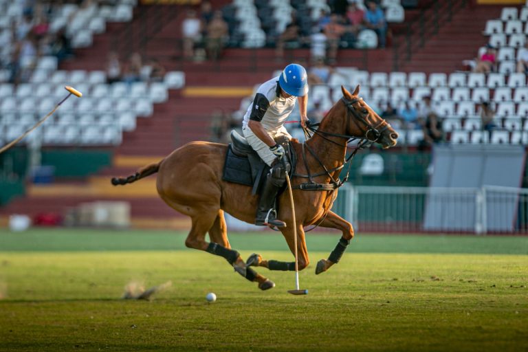 Prensa Polo | Polo de Argentina y Mundial