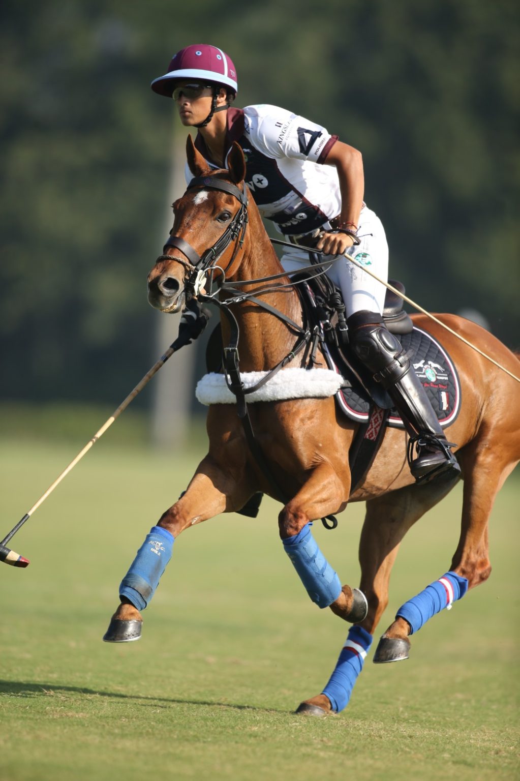 Polo Press | Argentine and World Polo