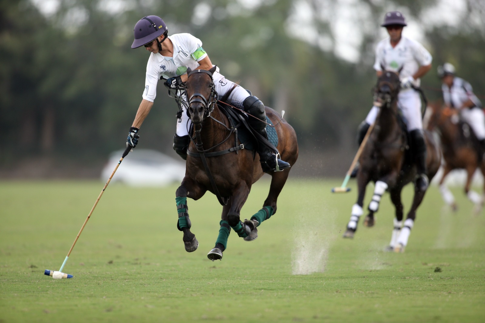 Prensa Polo | Polo de Argentina y Mundial