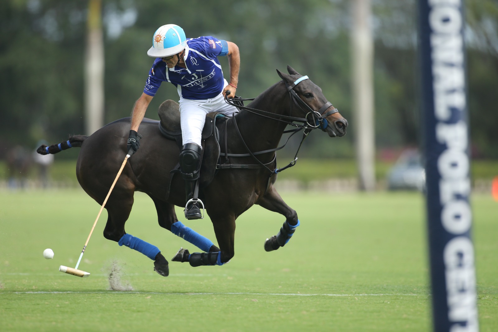 Prensa Polo | Polo de Argentina y Mundial