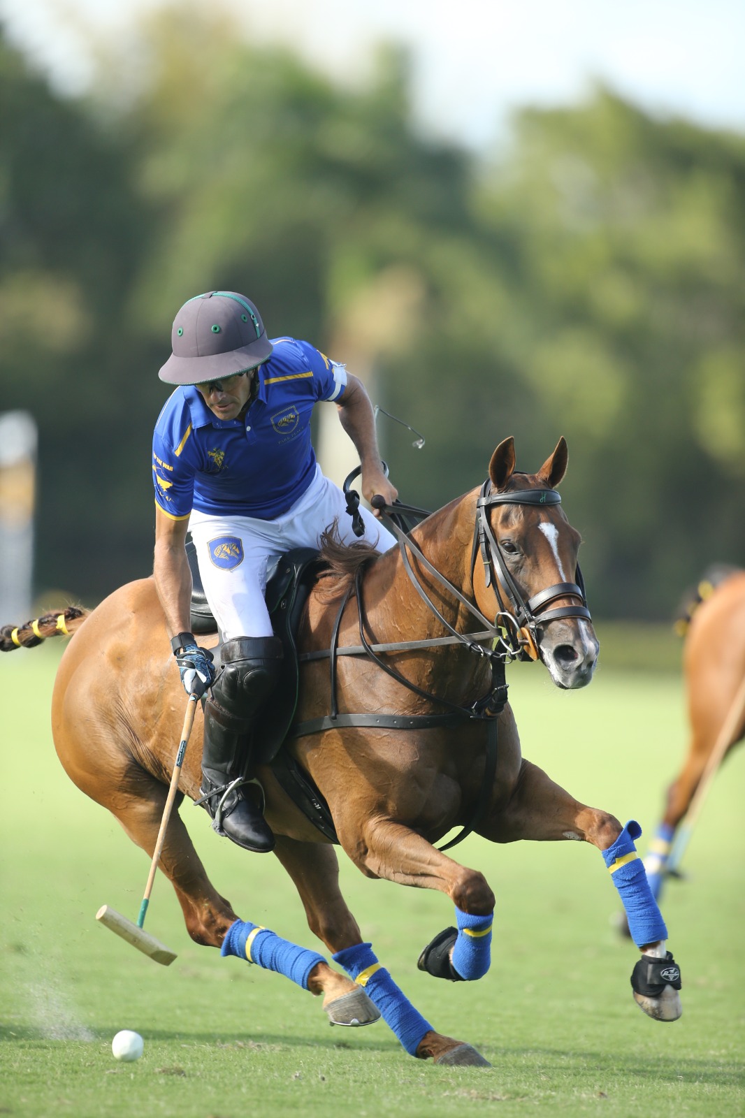 Prensa Polo | Polo de Argentina y Mundial