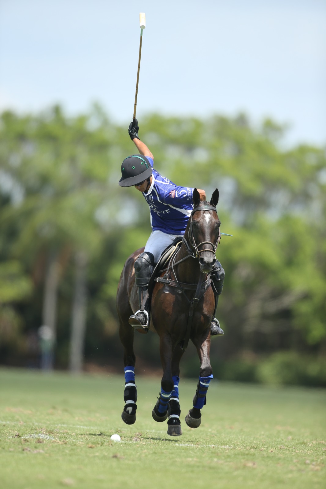 Prensa Polo | Polo de Argentina y Mundial