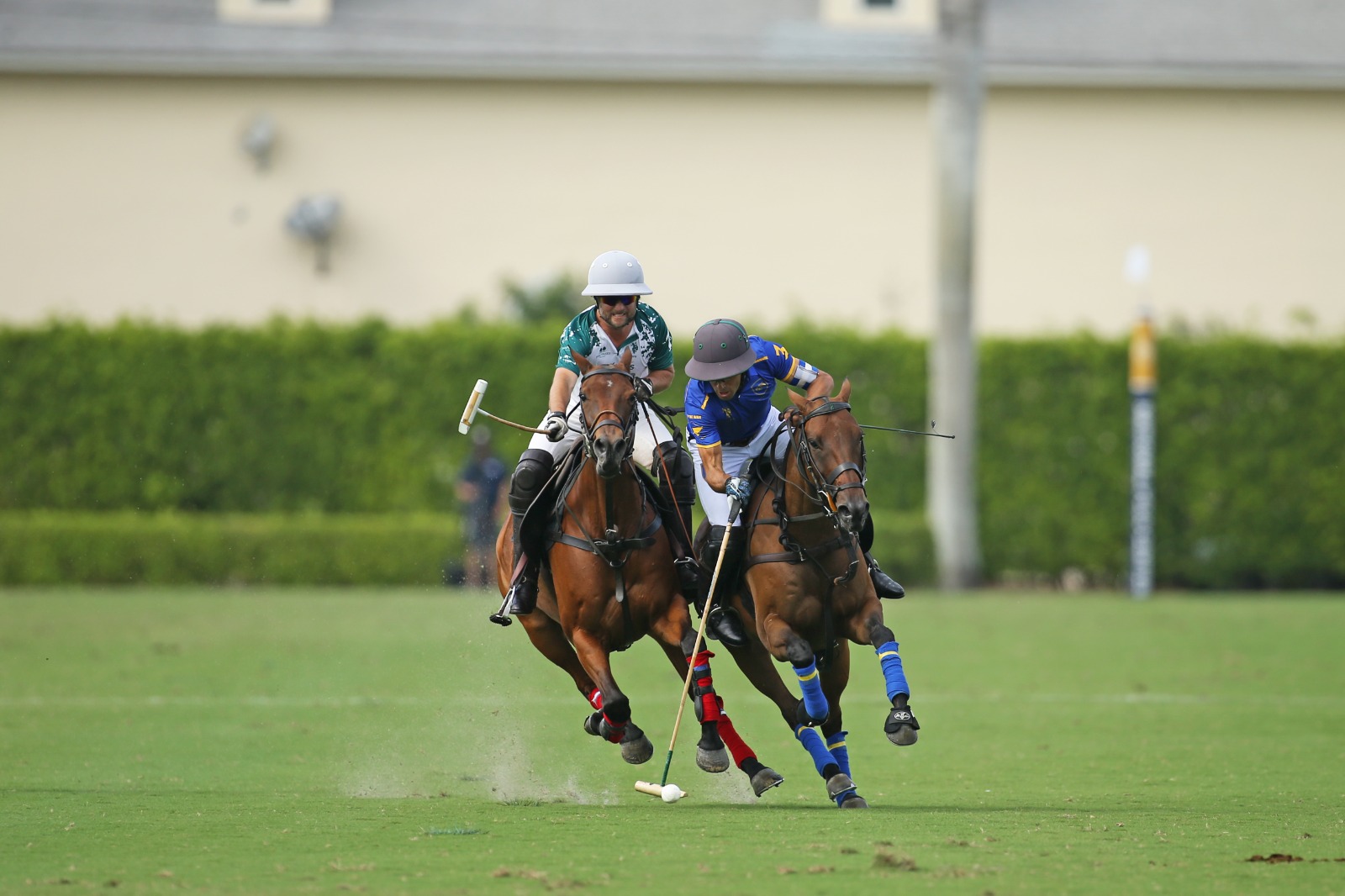 Prensa Polo | Polo de Argentina y Mundial