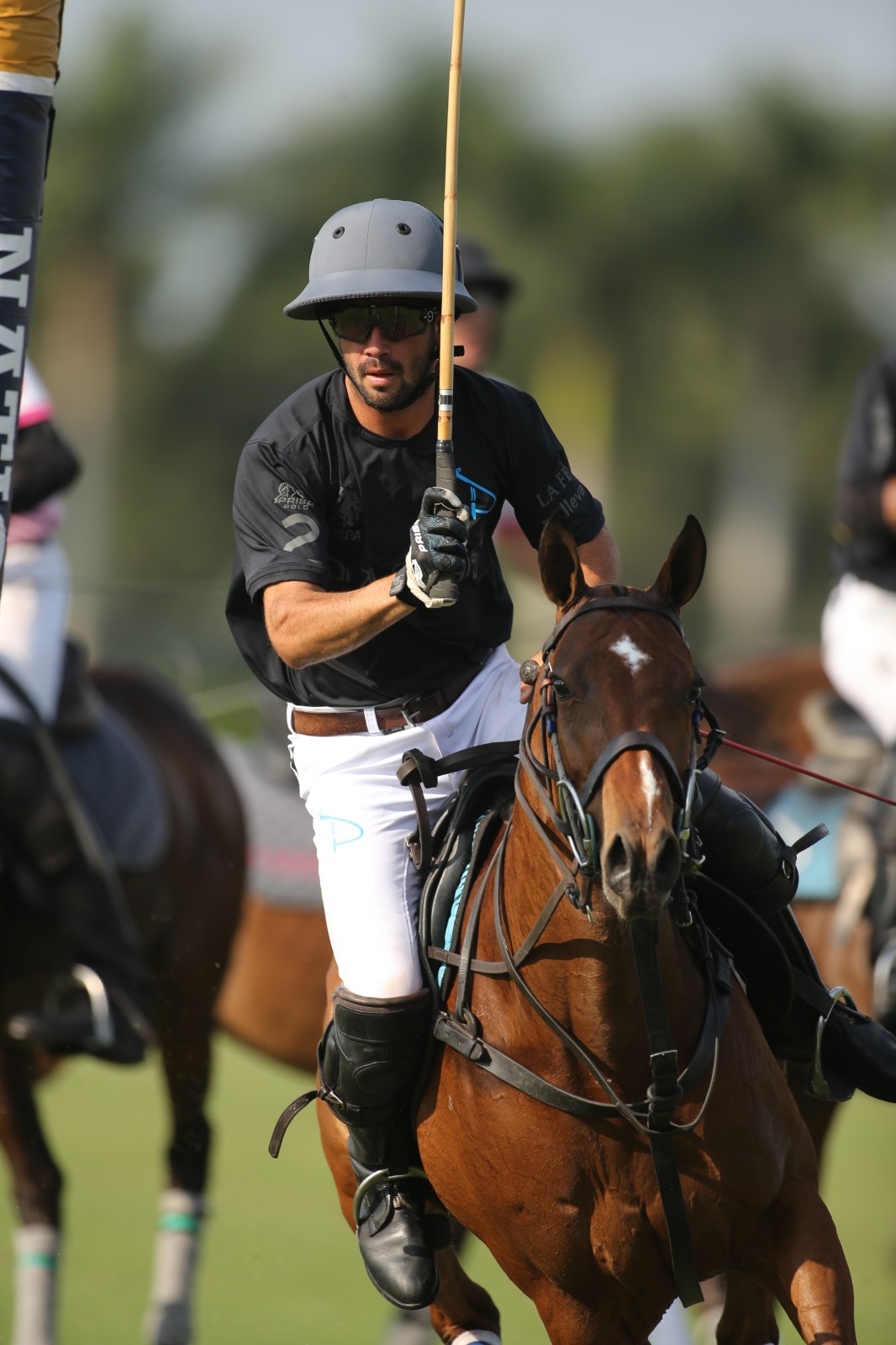 Prensa Polo | Polo de Argentina y Mundial