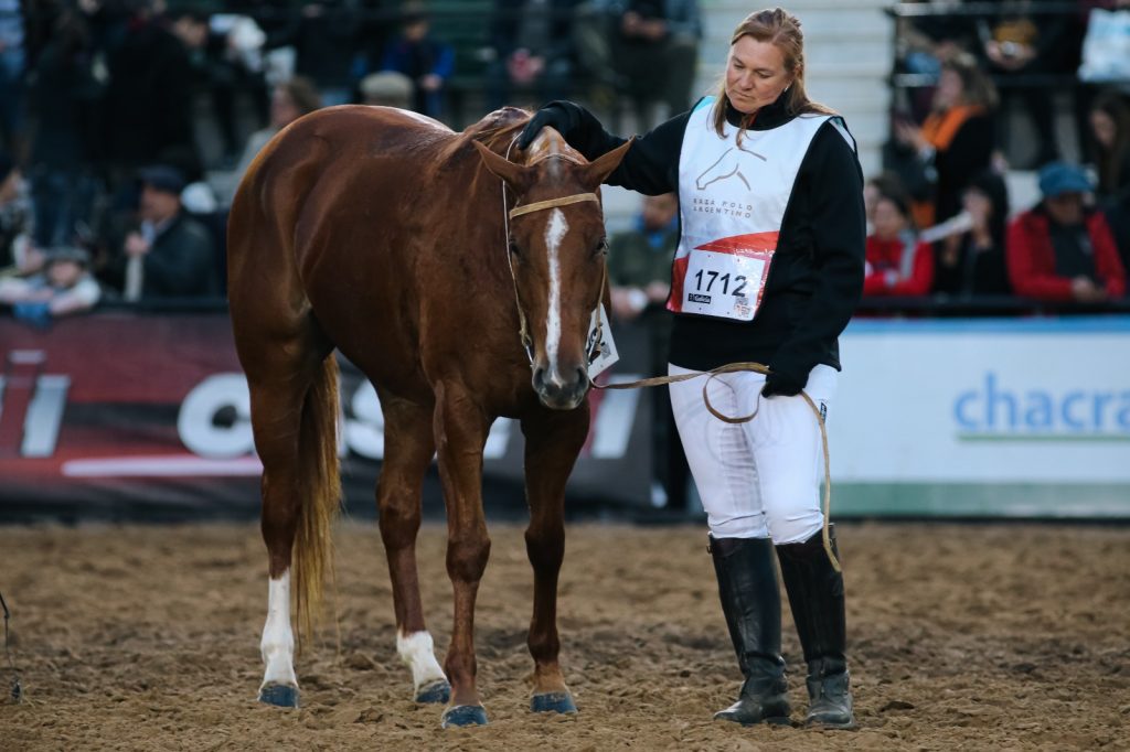 Prensa Polo | Polo de Argentina y Mundial