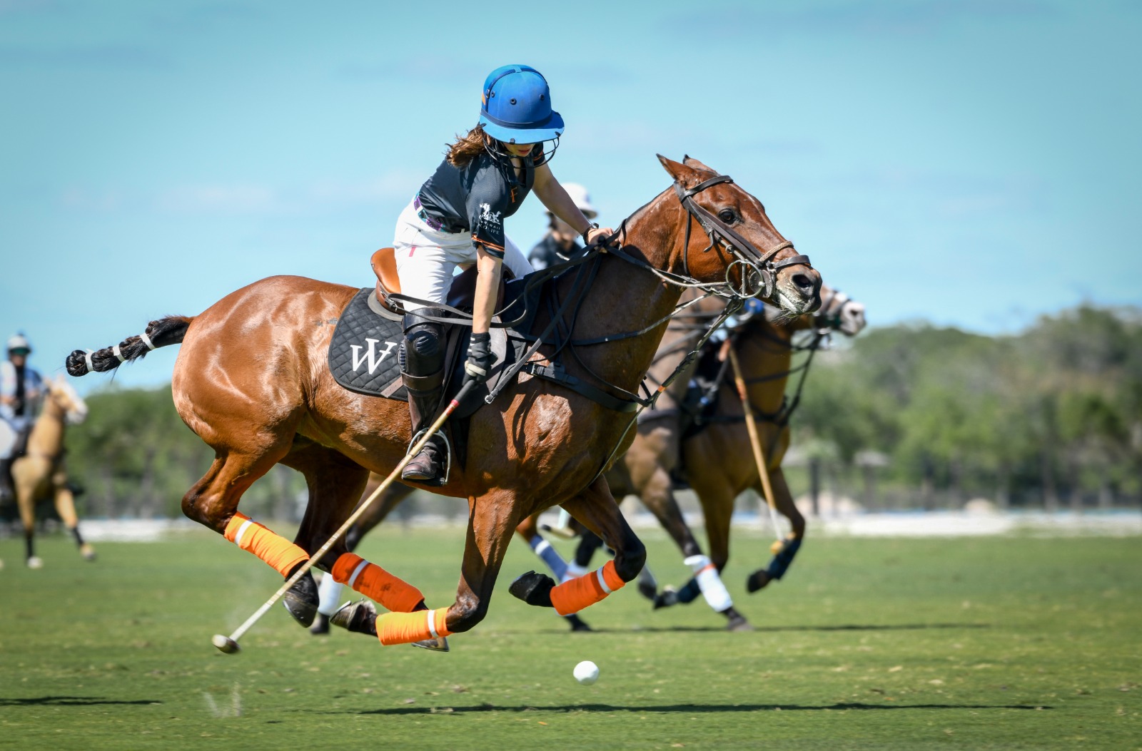 Prensa Polo | Polo de Argentina y Mundial
