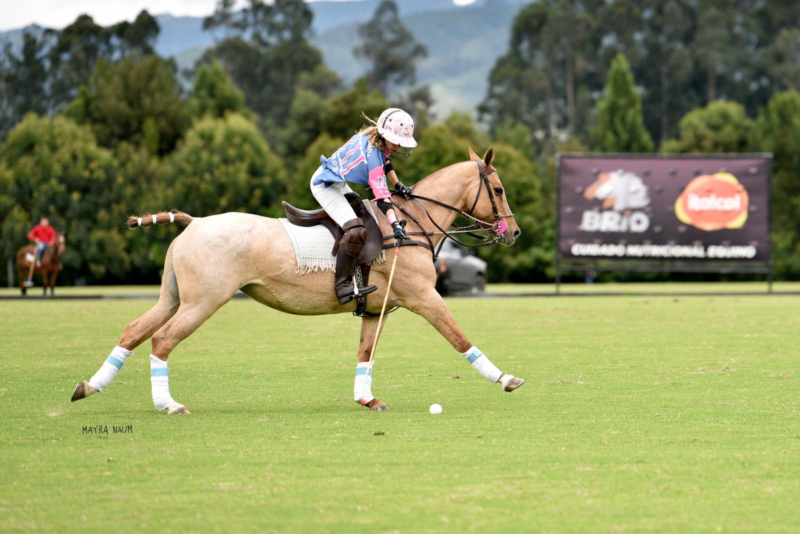 Prensa Polo | Polo de Argentina y Mundial