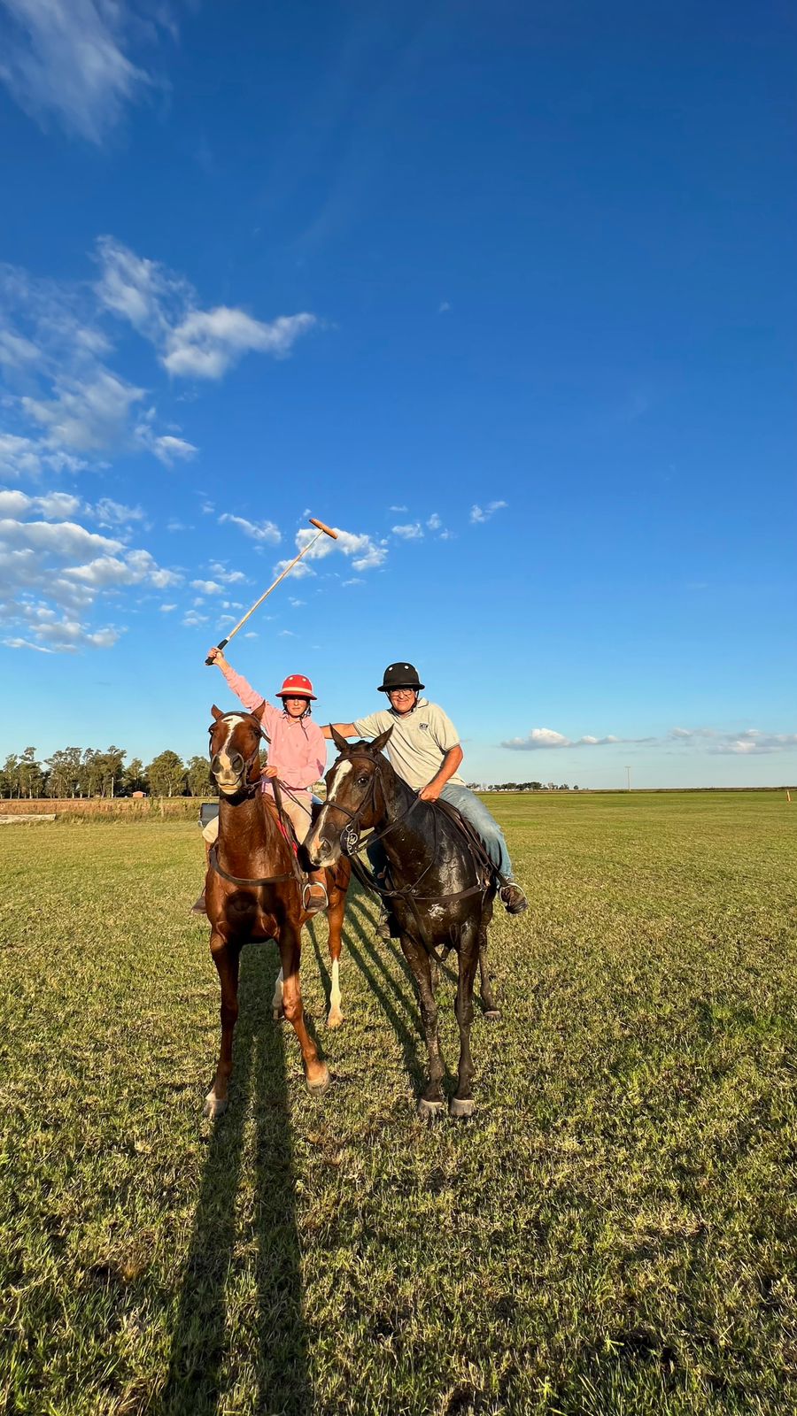 Prensa Polo | Polo de Argentina y Mundial