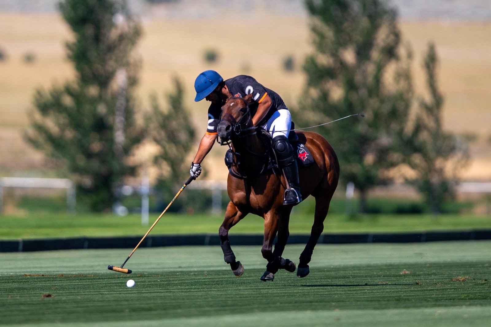 Prensa Polo | Polo de Argentina y Mundial