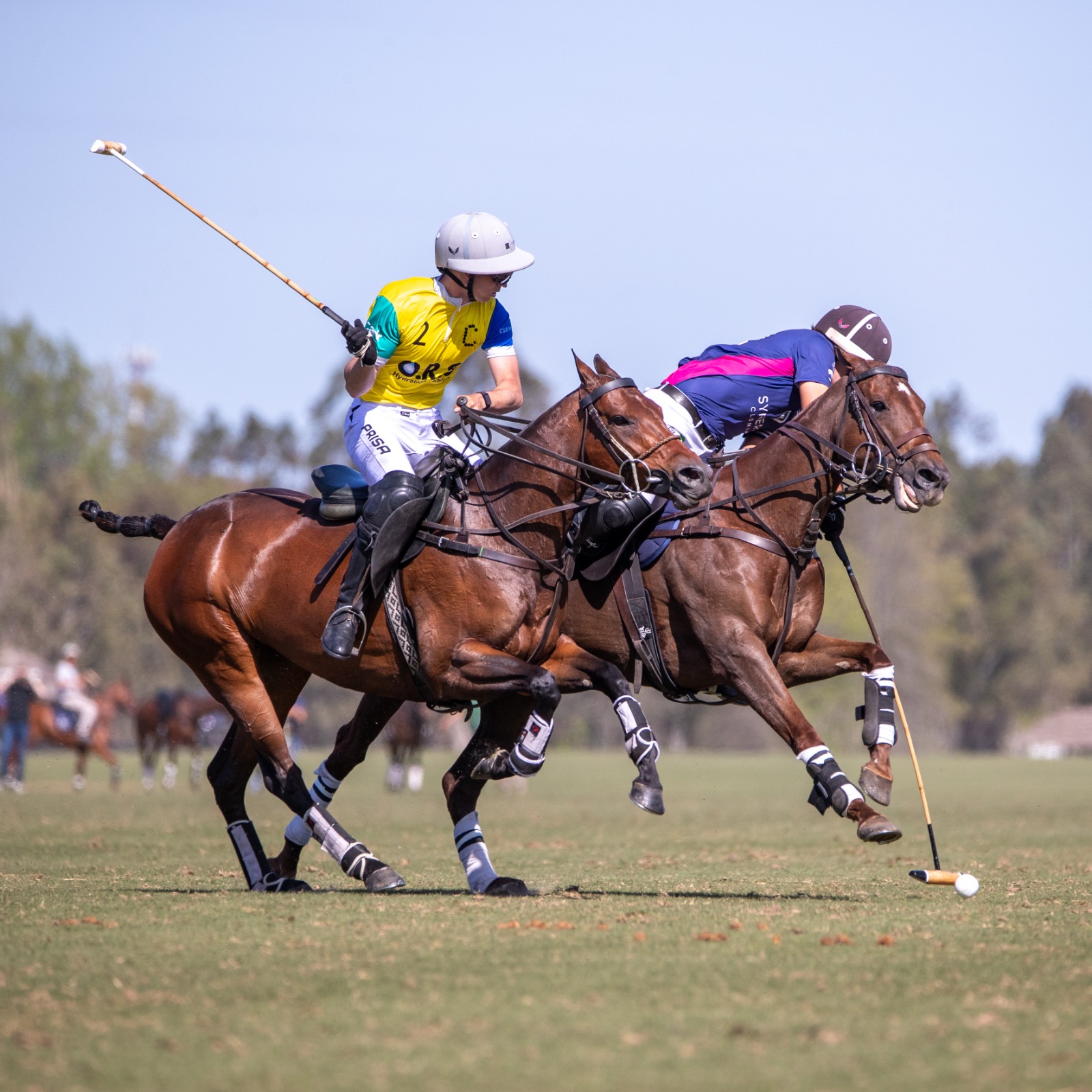 Prensa Polo | Polo de Argentina y Mundial
