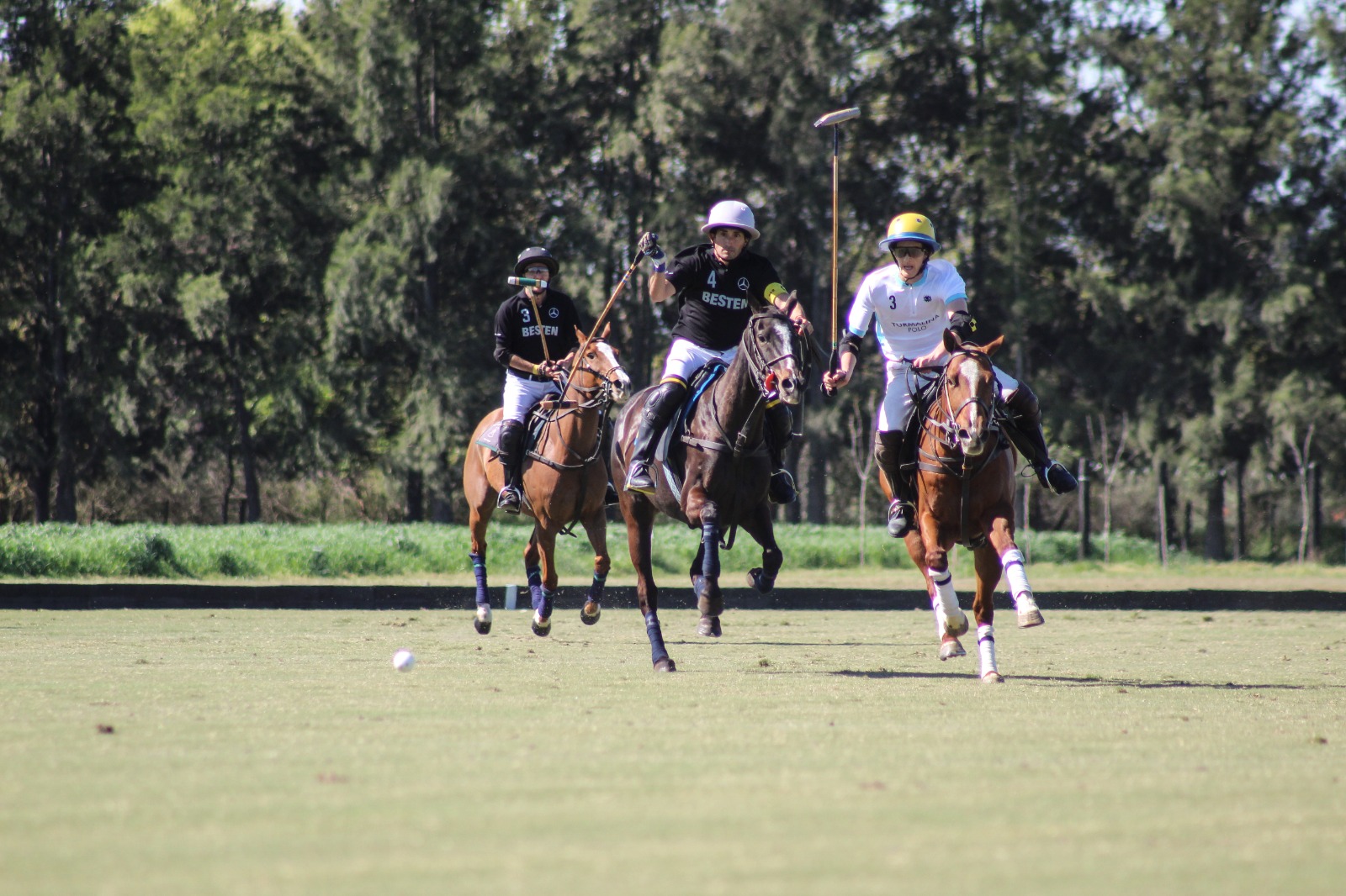 Prensa Polo | Polo de Argentina y Mundial