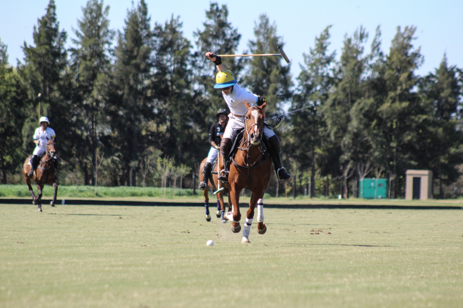 Prensa Polo | Polo de Argentina y Mundial