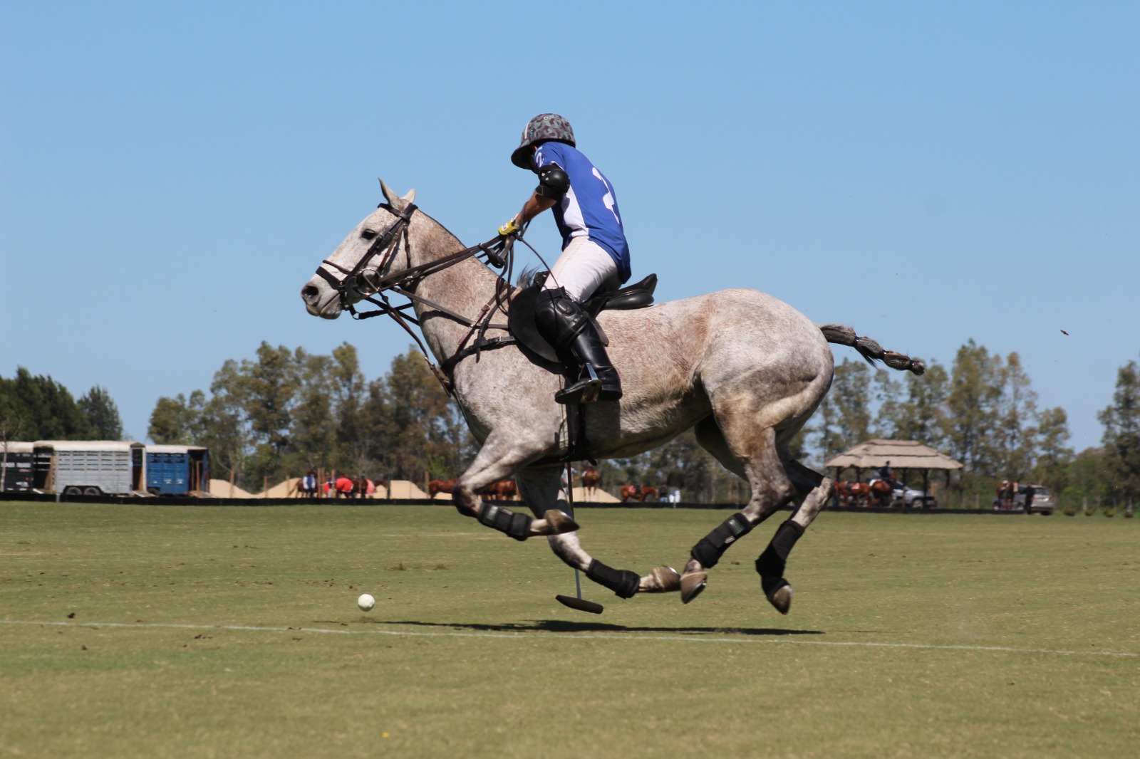 Prensa Polo | Polo de Argentina y Mundial
