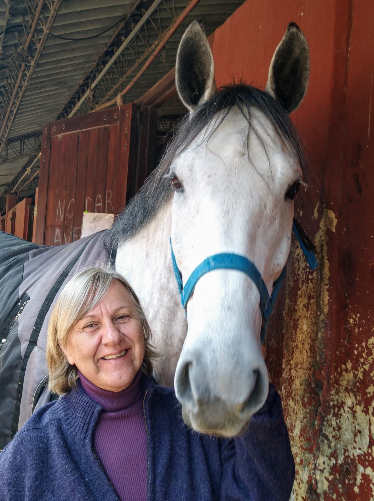 Prensa Polo | Polo de Argentina y Mundial