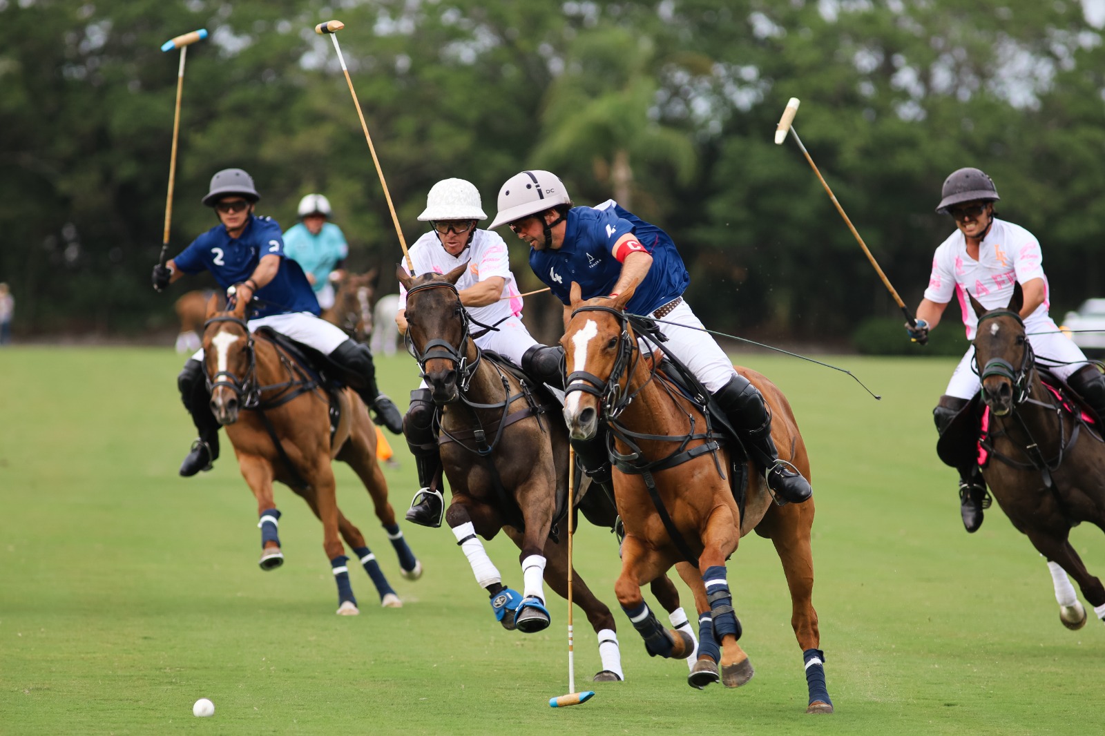 Prensa Polo | Polo de Argentina y Mundial