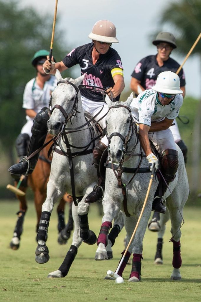 Prensa Polo | Polo de Argentina y Mundial