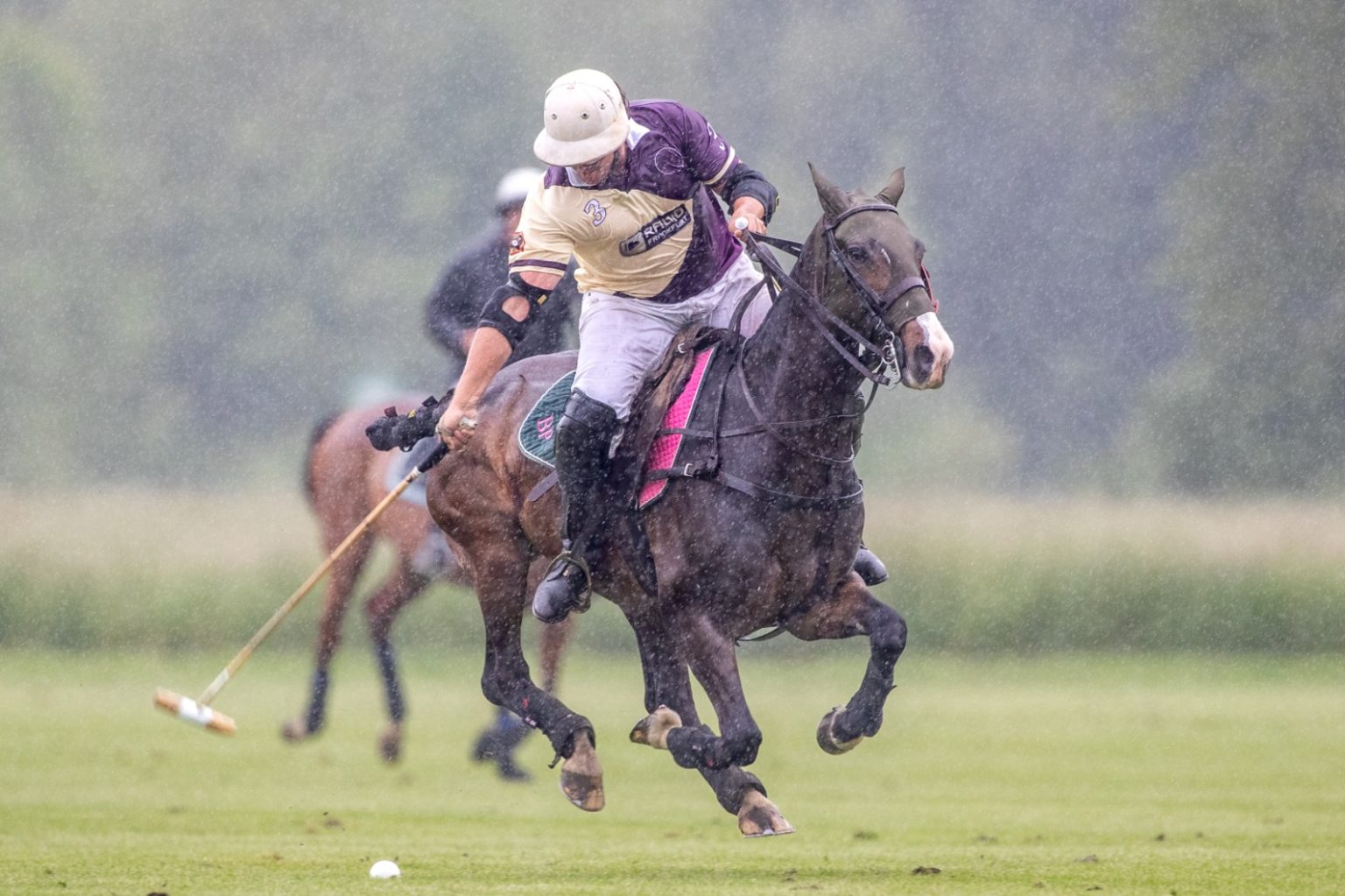 Prensa Polo | Polo de Argentina y Mundial
