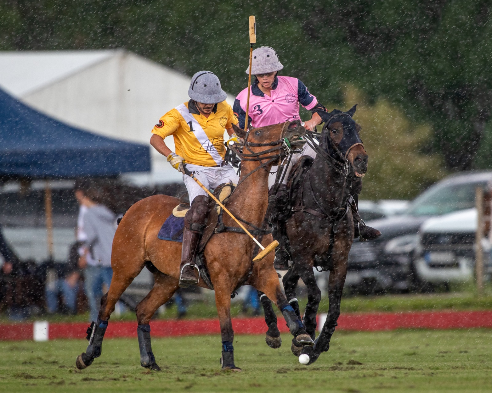 Prensa Polo | Polo de Argentina y Mundial
