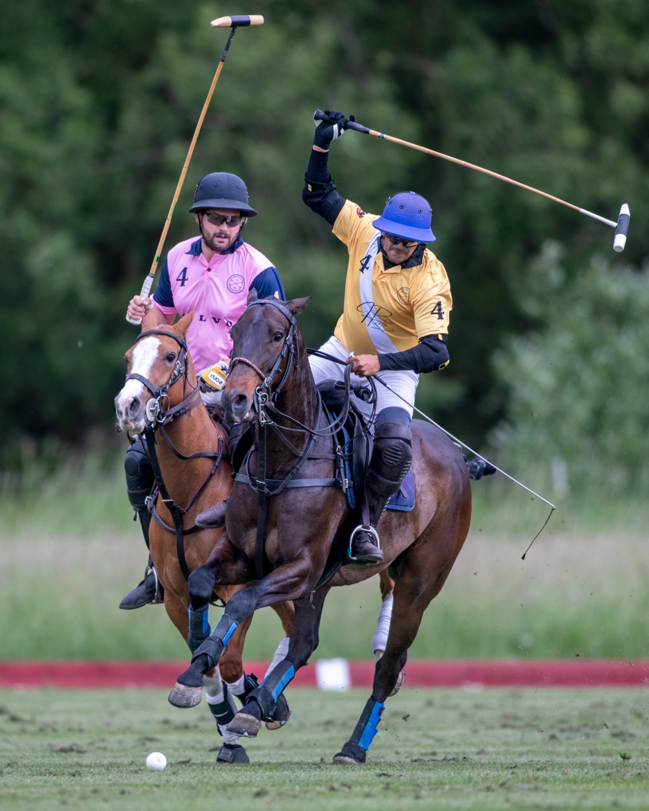 Prensa Polo | Polo de Argentina y Mundial