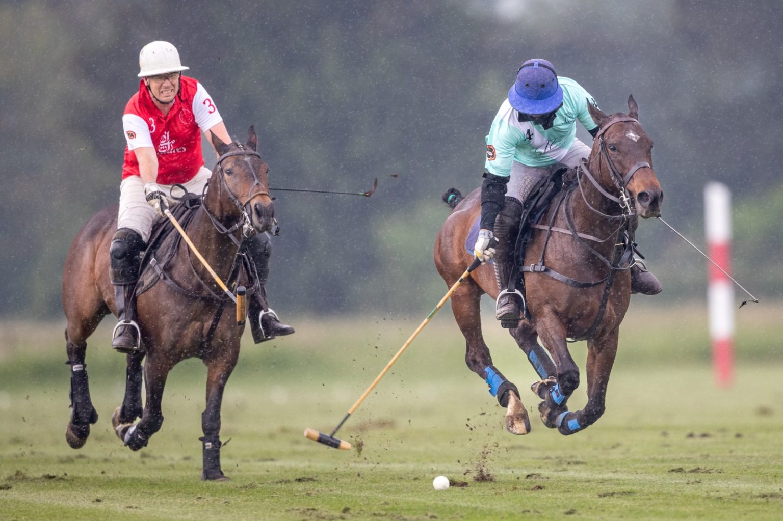 Prensa Polo | Polo de Argentina y Mundial
