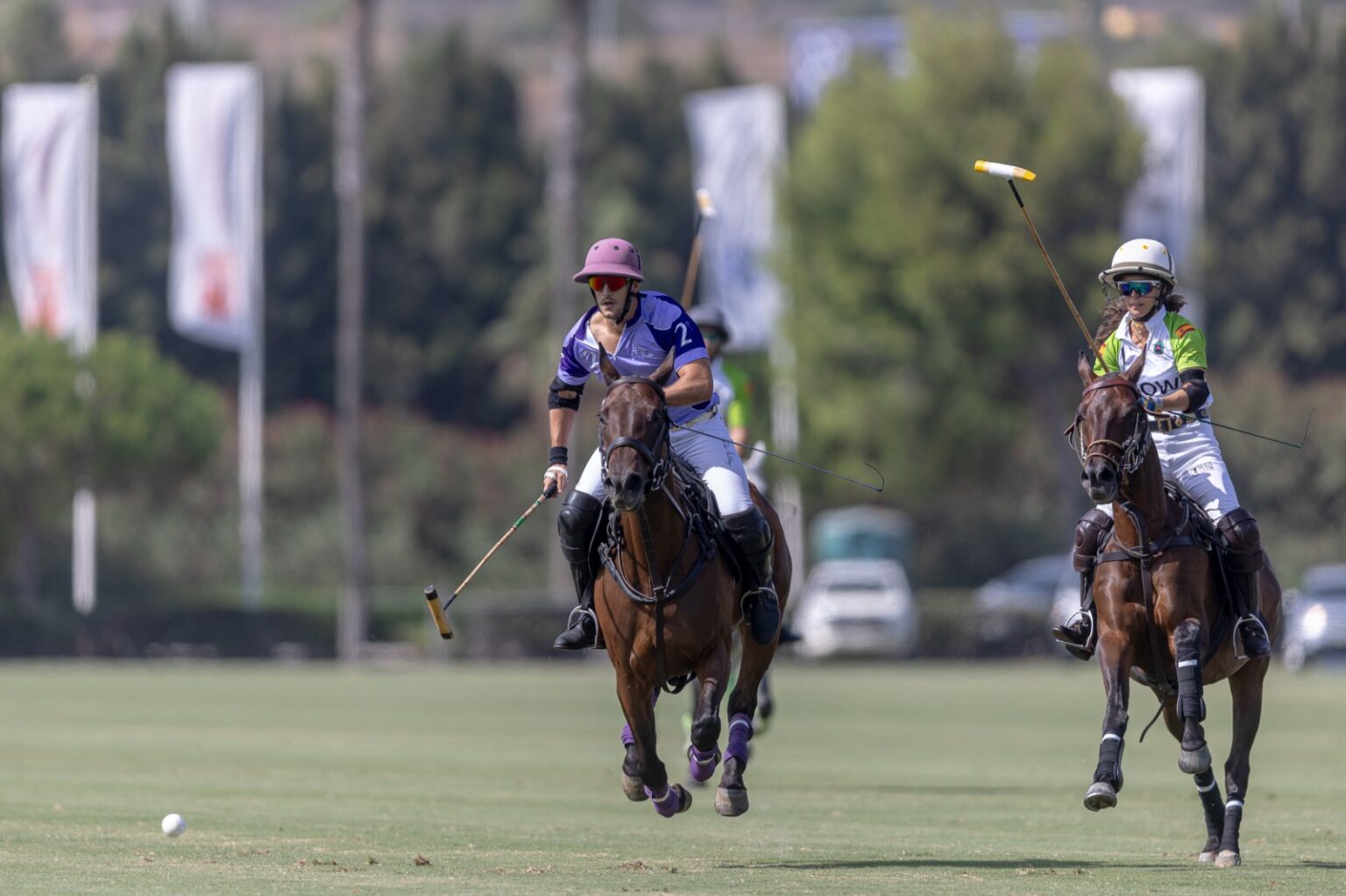 Prensa Polo | Polo de Argentina y Mundial