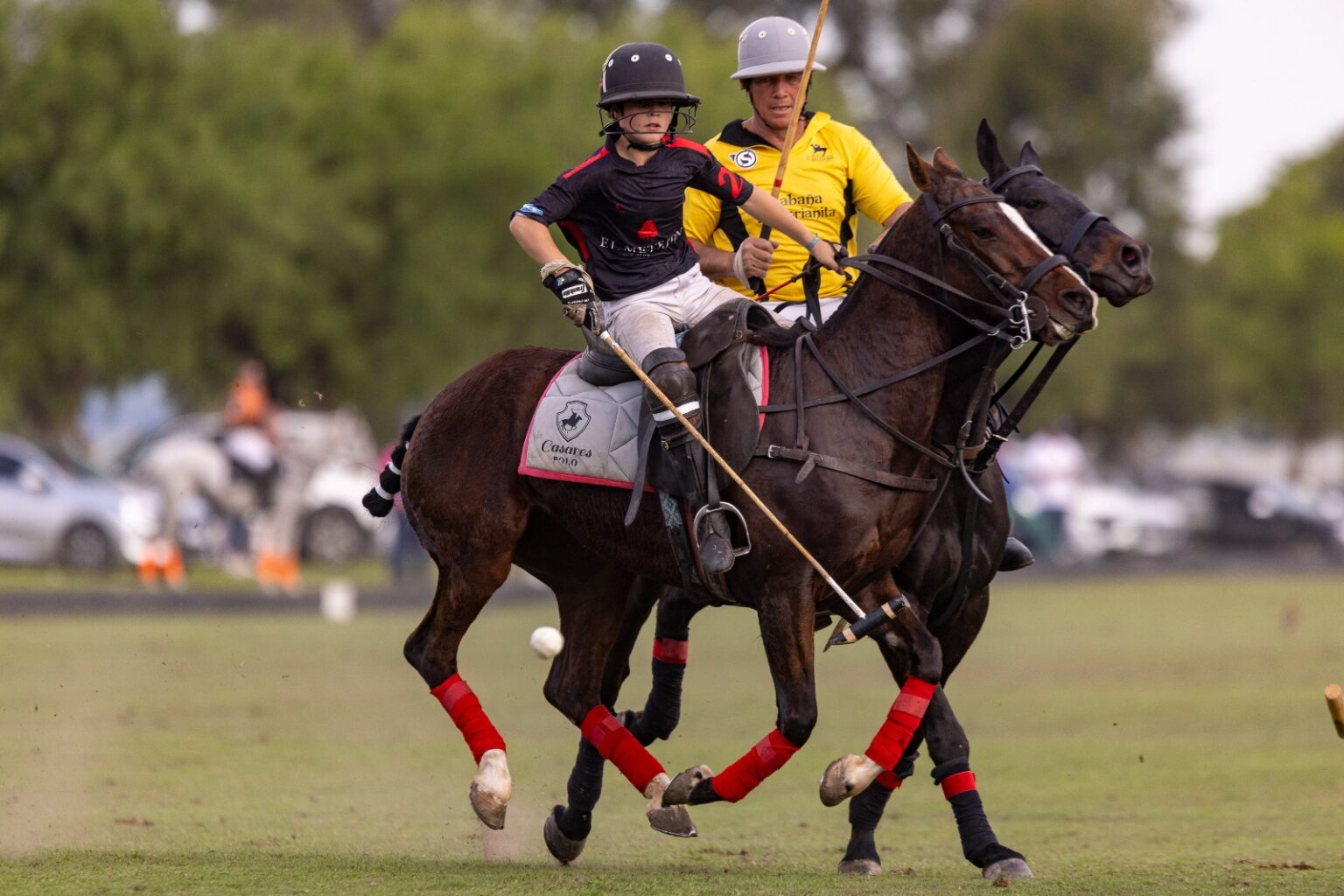 Prensa Polo | Polo de Argentina y Mundial