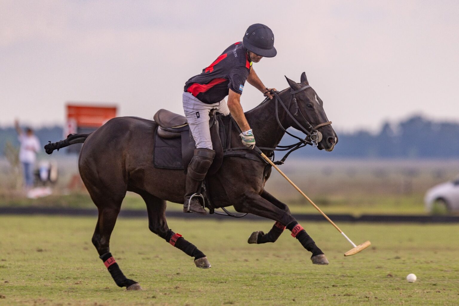 Prensa Polo | Polo de Argentina y Mundial
