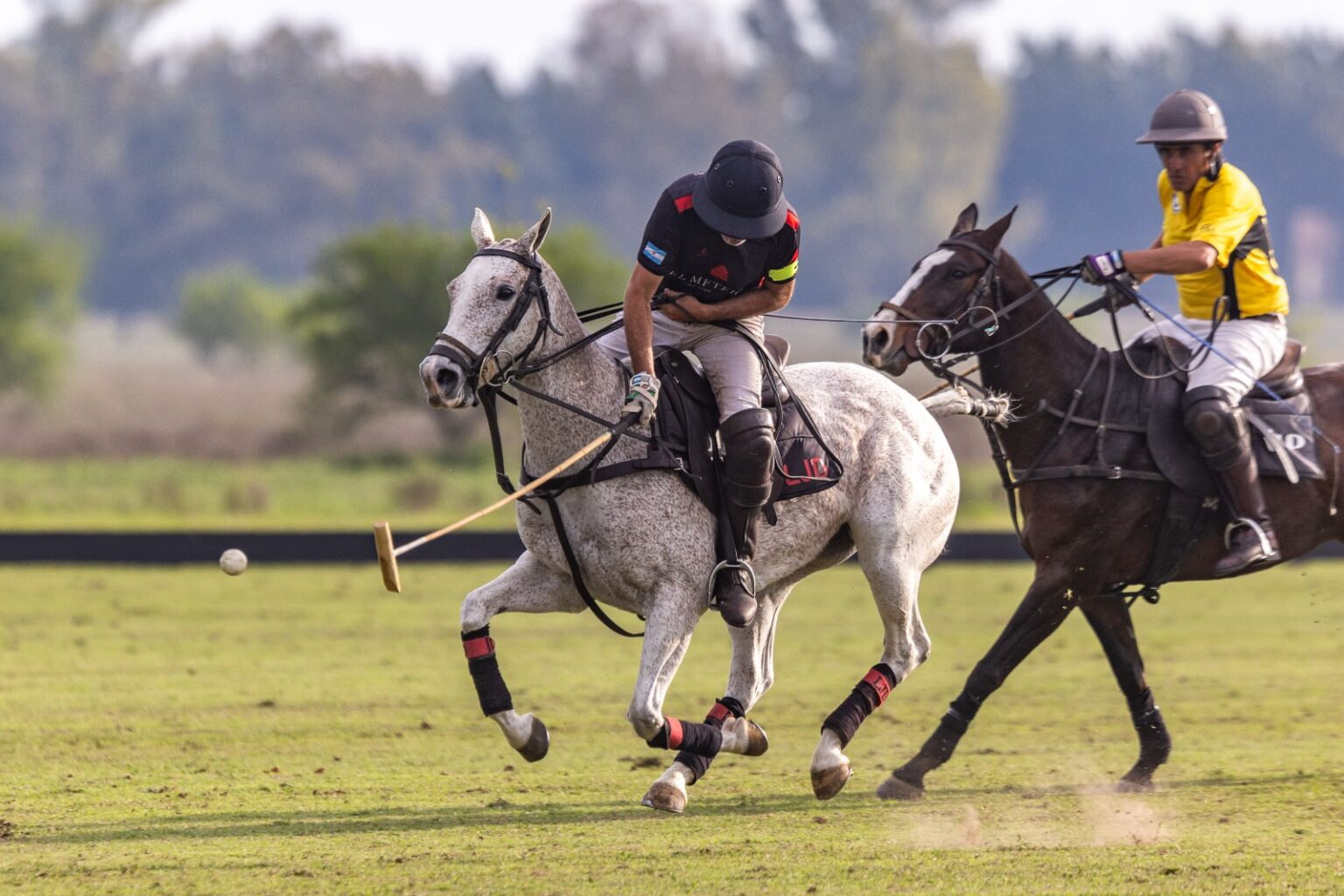 Prensa Polo | Polo de Argentina y Mundial