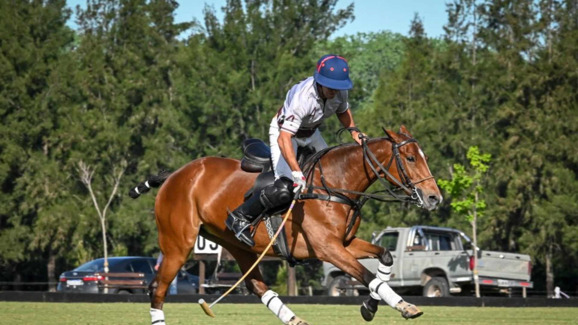 Prensa Polo | Polo de Argentina y Mundial