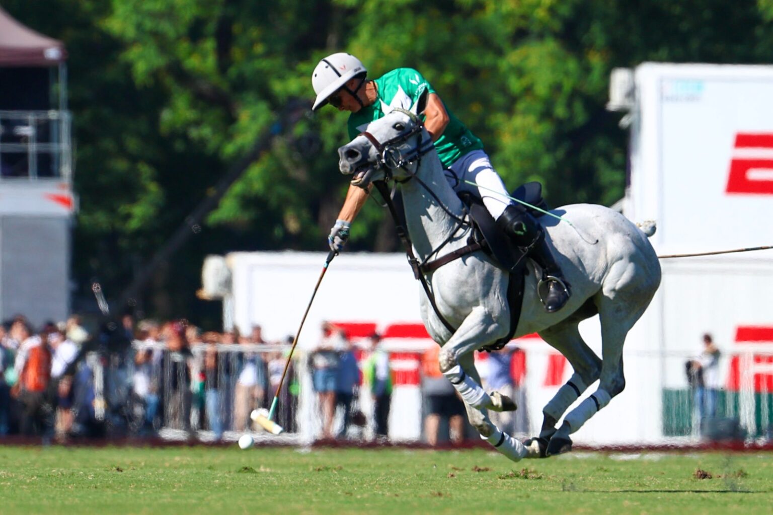 Prensa Polo | Polo de Argentina y Mundial