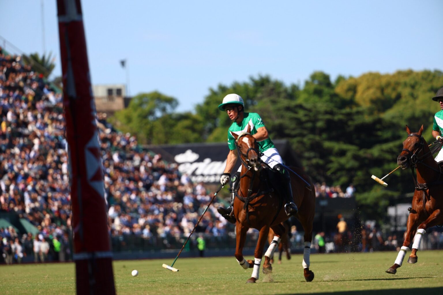 Prensa Polo | Polo de Argentina y Mundial