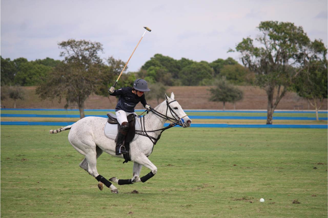 Prensa Polo | Polo de Argentina y Mundial