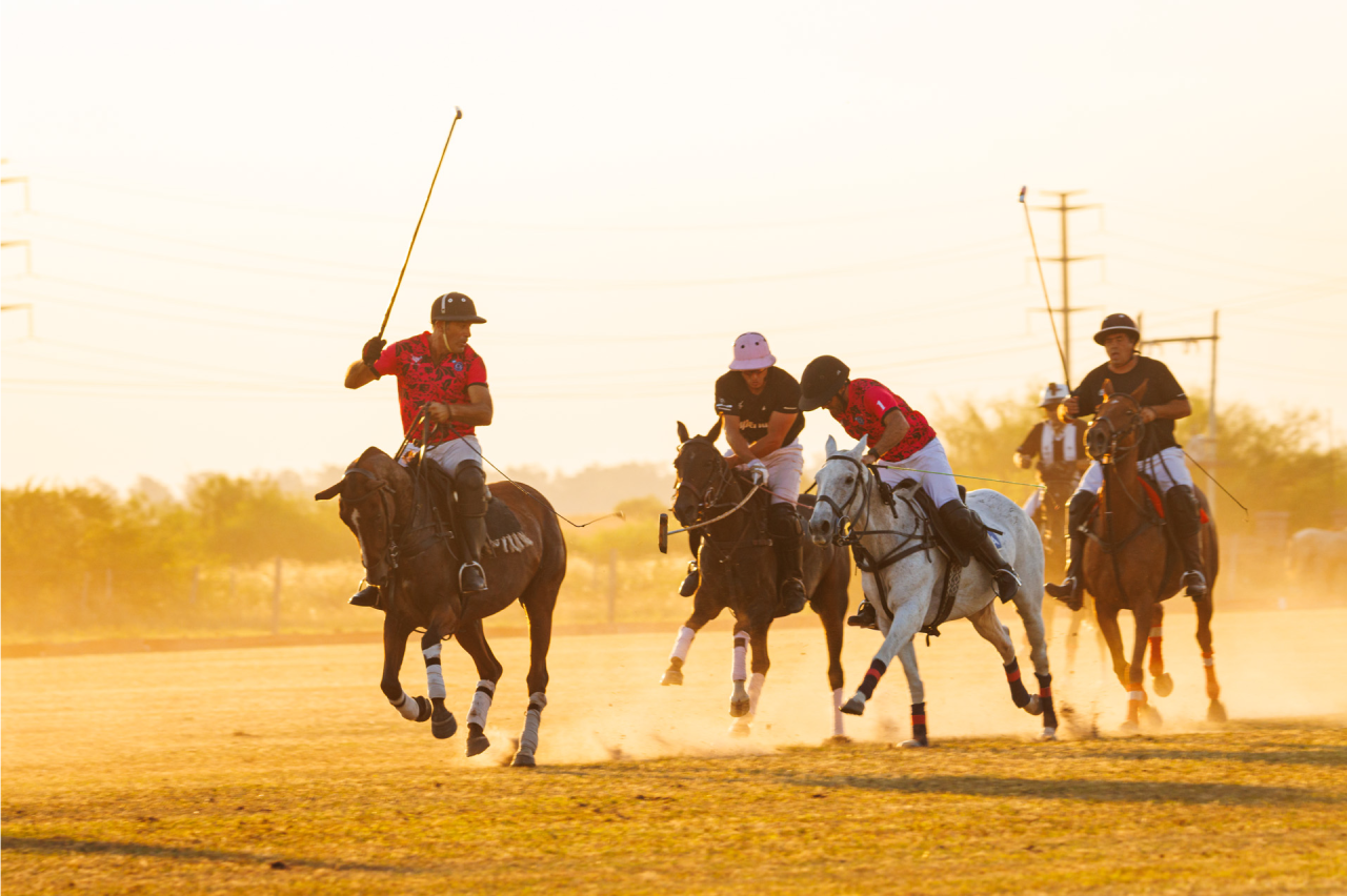 Prensa Polo | Polo de Argentina y Mundial