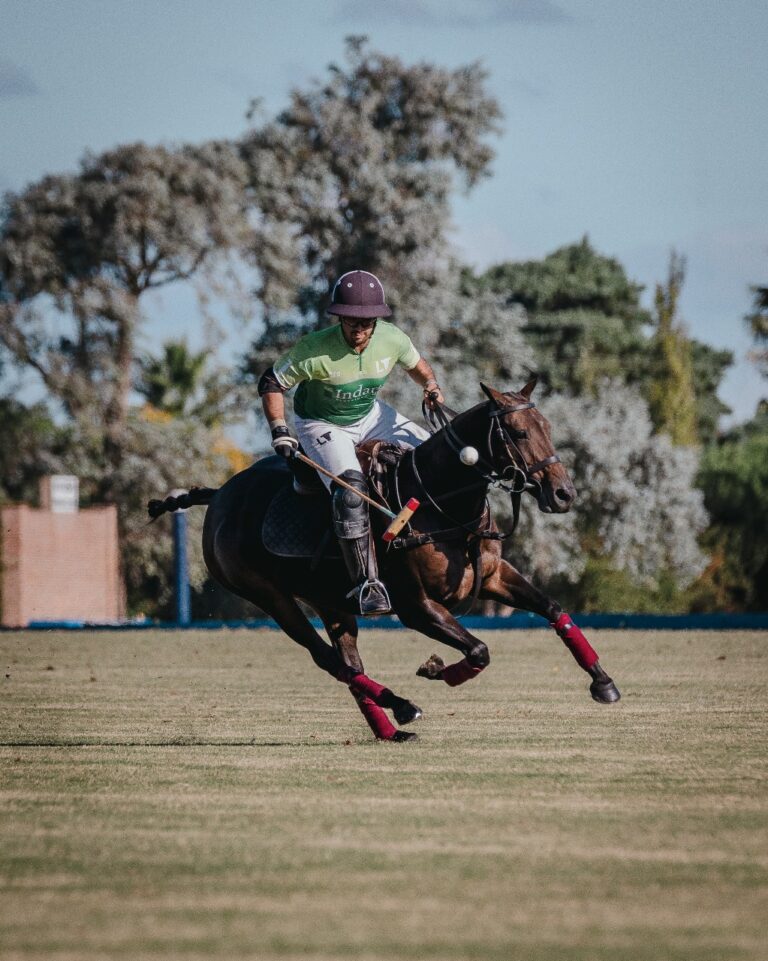 Prensa Polo | Polo de Argentina y Mundial