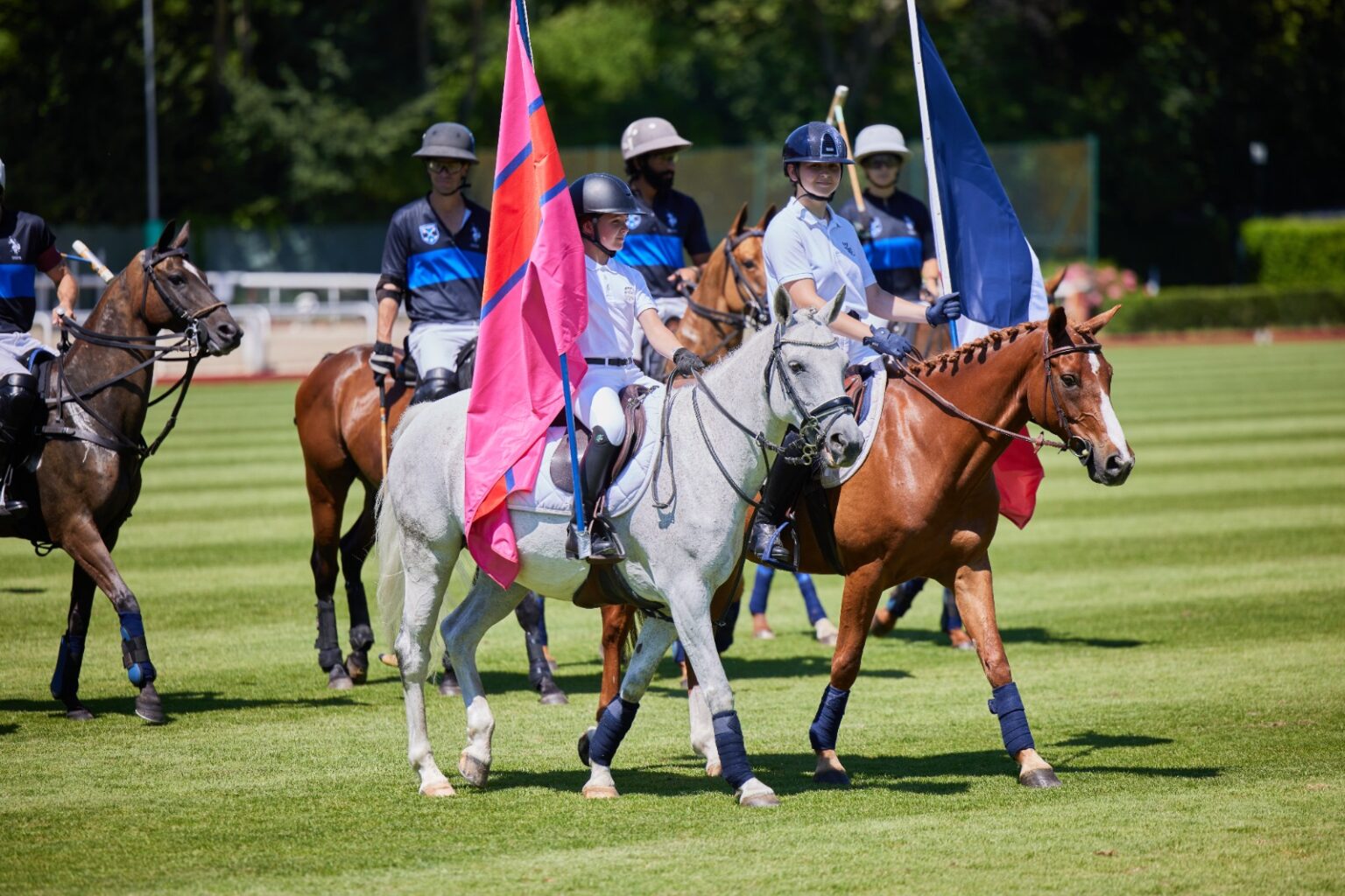 Prensa Polo | Polo de Argentina y Mundial