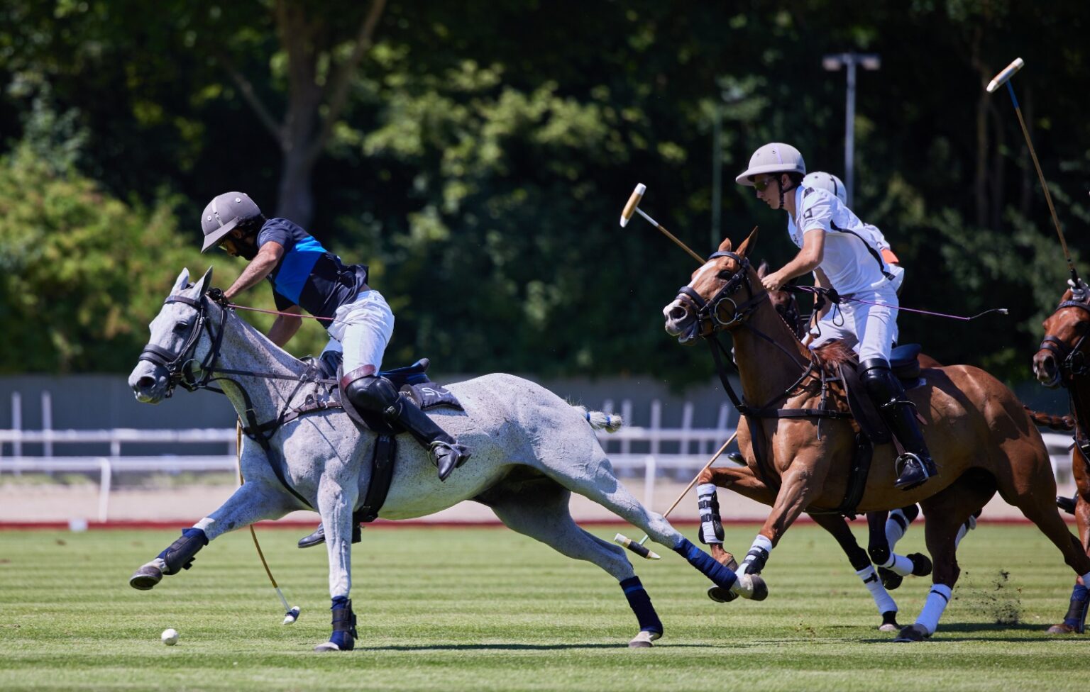 Polo Press | Argentine and World Polo