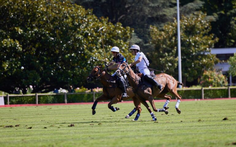 Prensa Polo | Polo de Argentina y Mundial