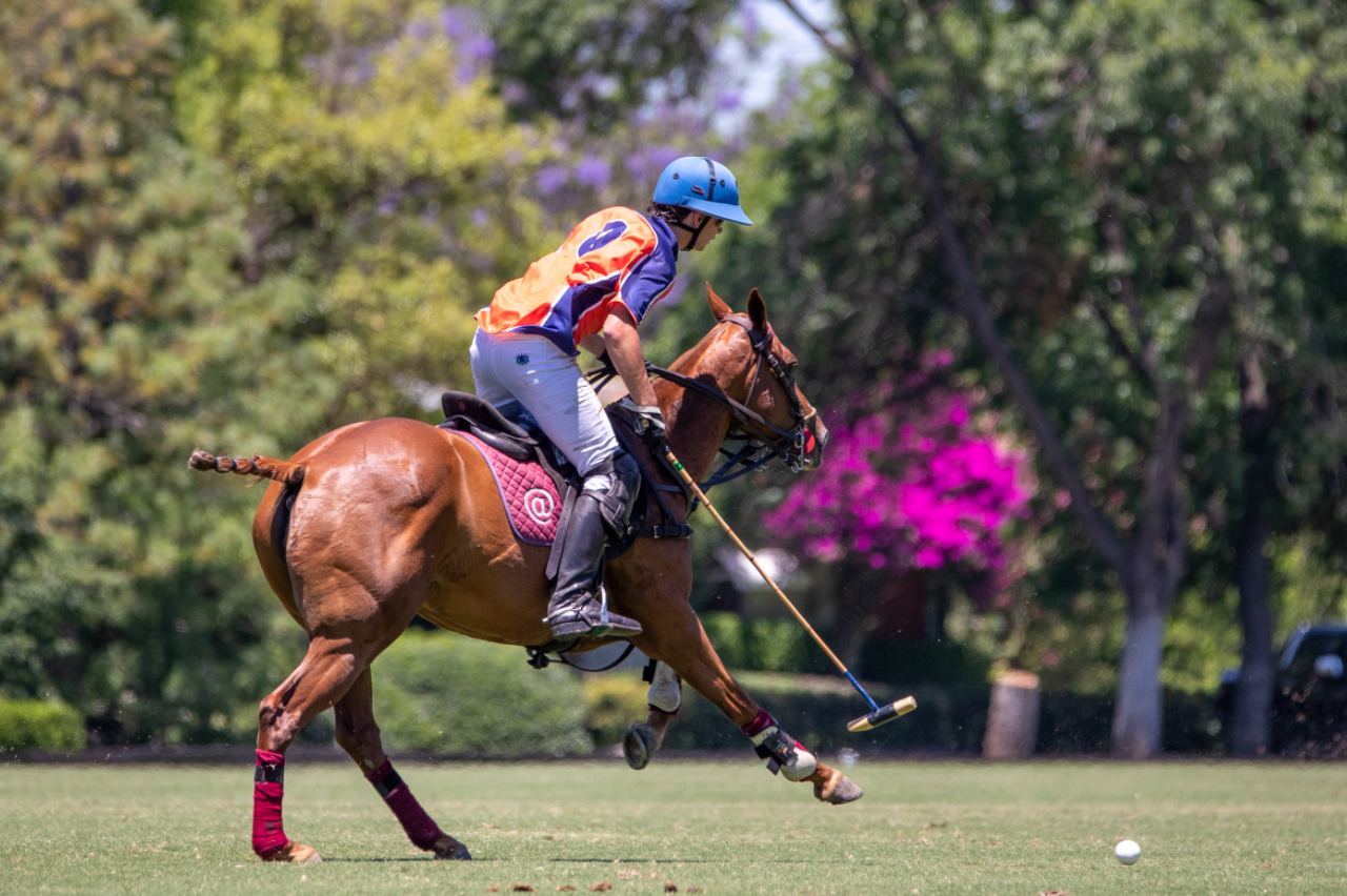 Prensa Polo | Polo de Argentina y Mundial