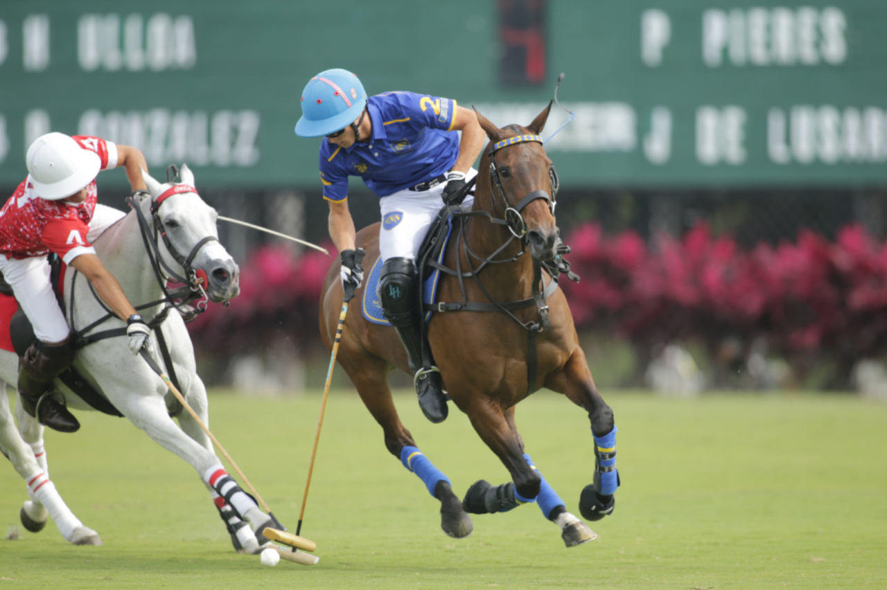 Prensa Polo | Polo de Argentina y Mundial