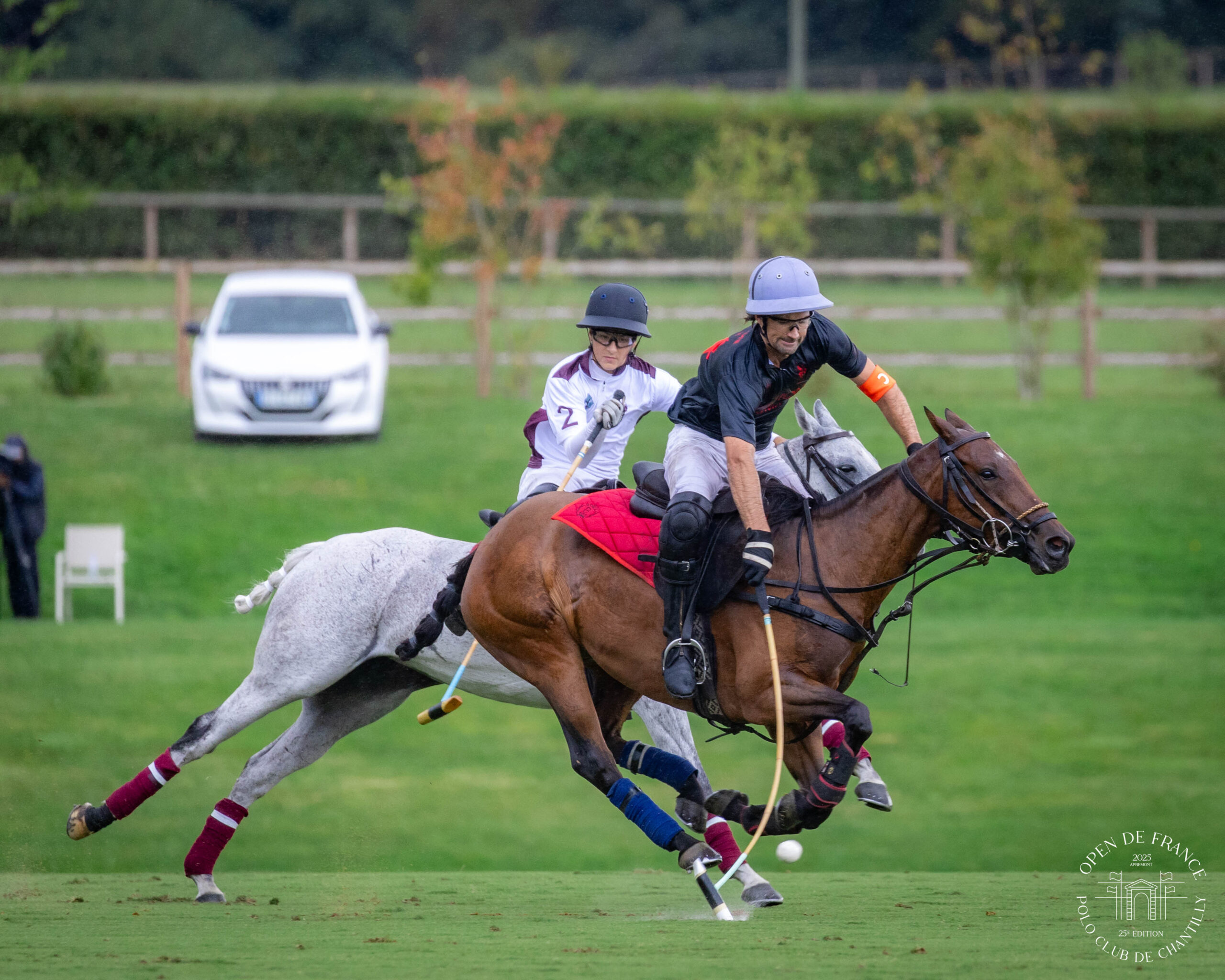 Polo Press | L'Argentine et le polo mondial