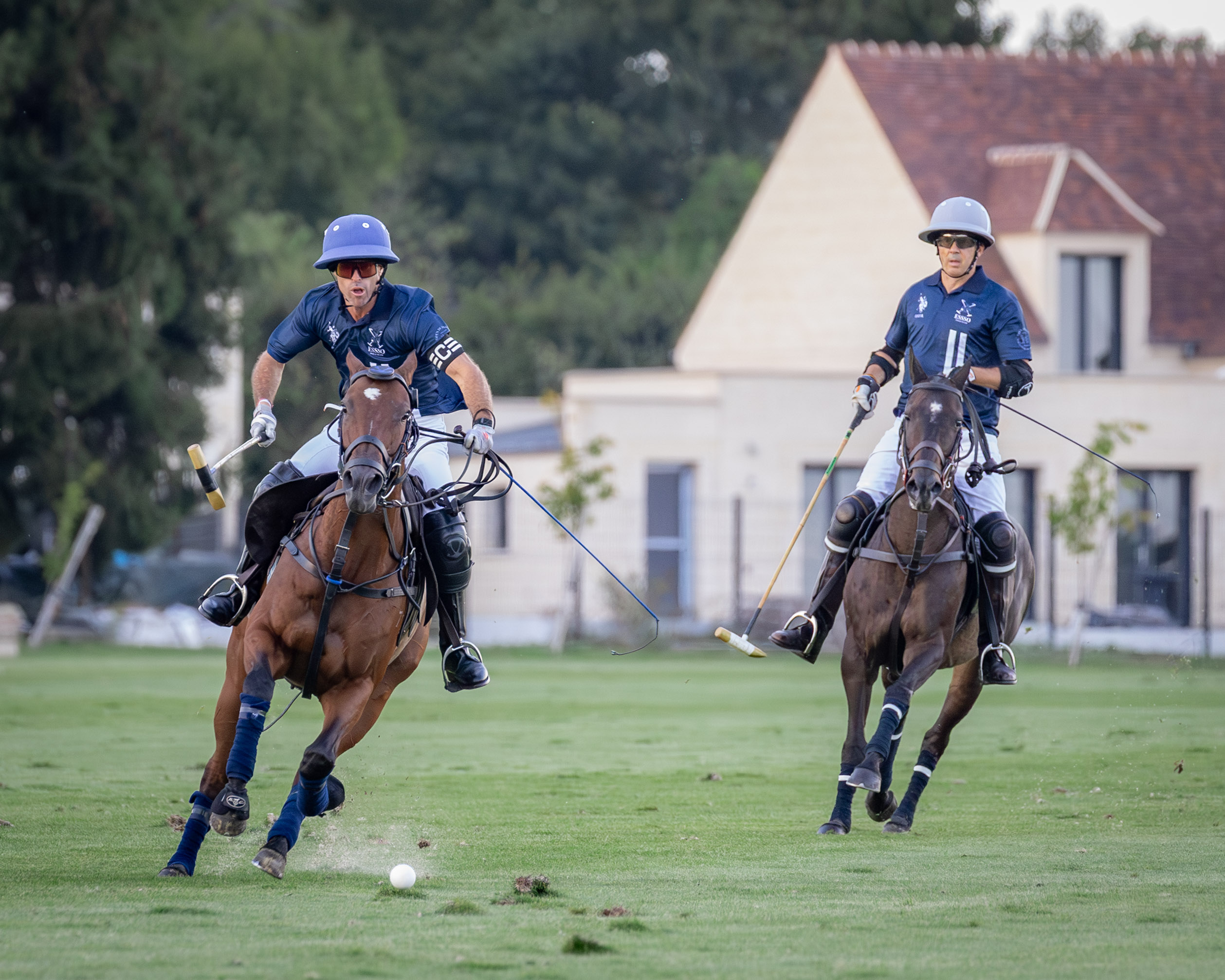 Polo Press | Argentine and World Polo