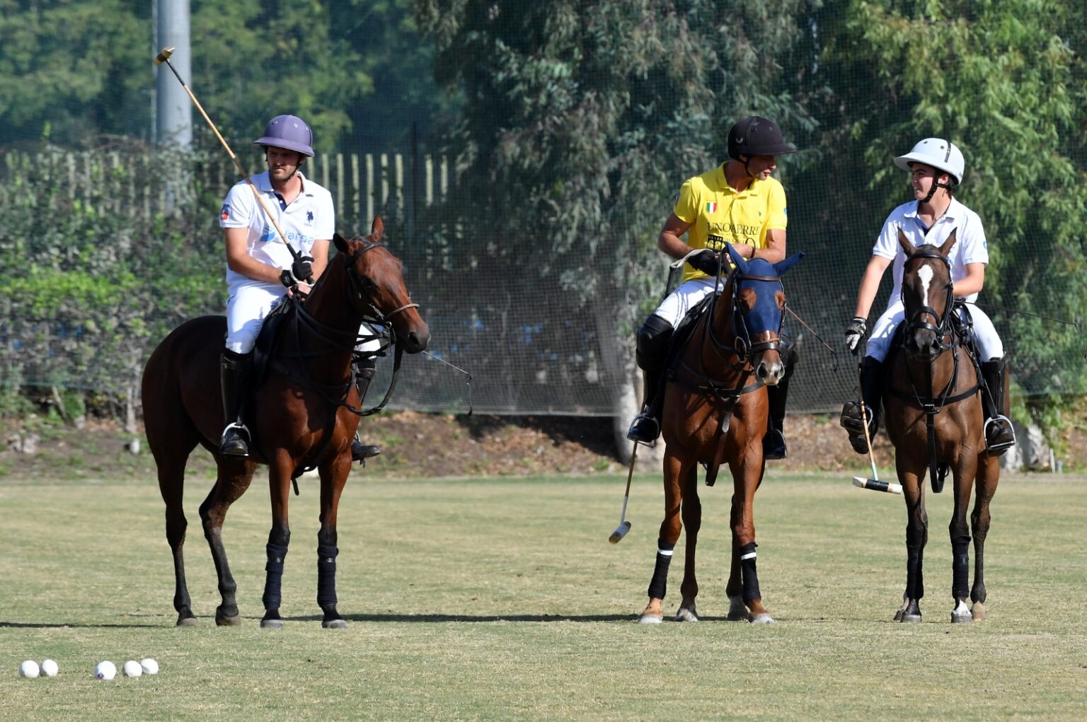 Prensa Polo | Polo de Argentina y Mundial